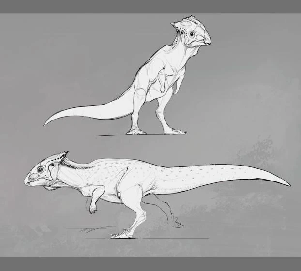 Homalocephale | The Isle Wiki | Fandom