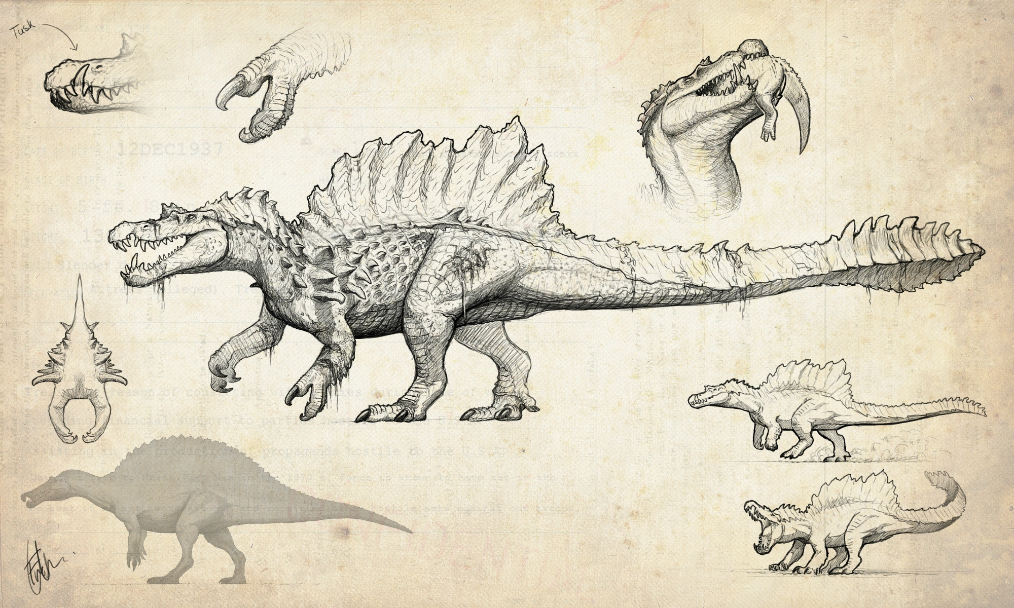 Image - Hyperendocrin Spinosaurus Concept Art The Isle.png | The Isle ...