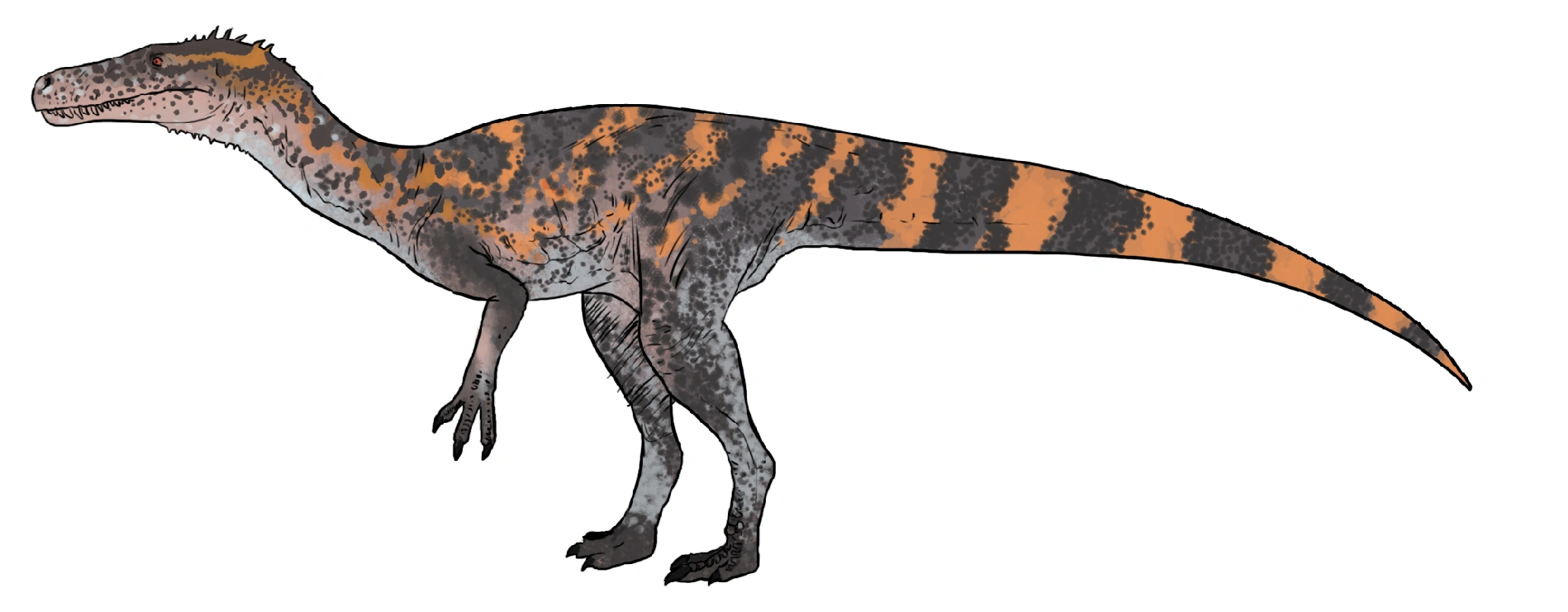 Image - Herrerasaurus Concept Art The Isle.png | The Isle Wiki | FANDOM ...