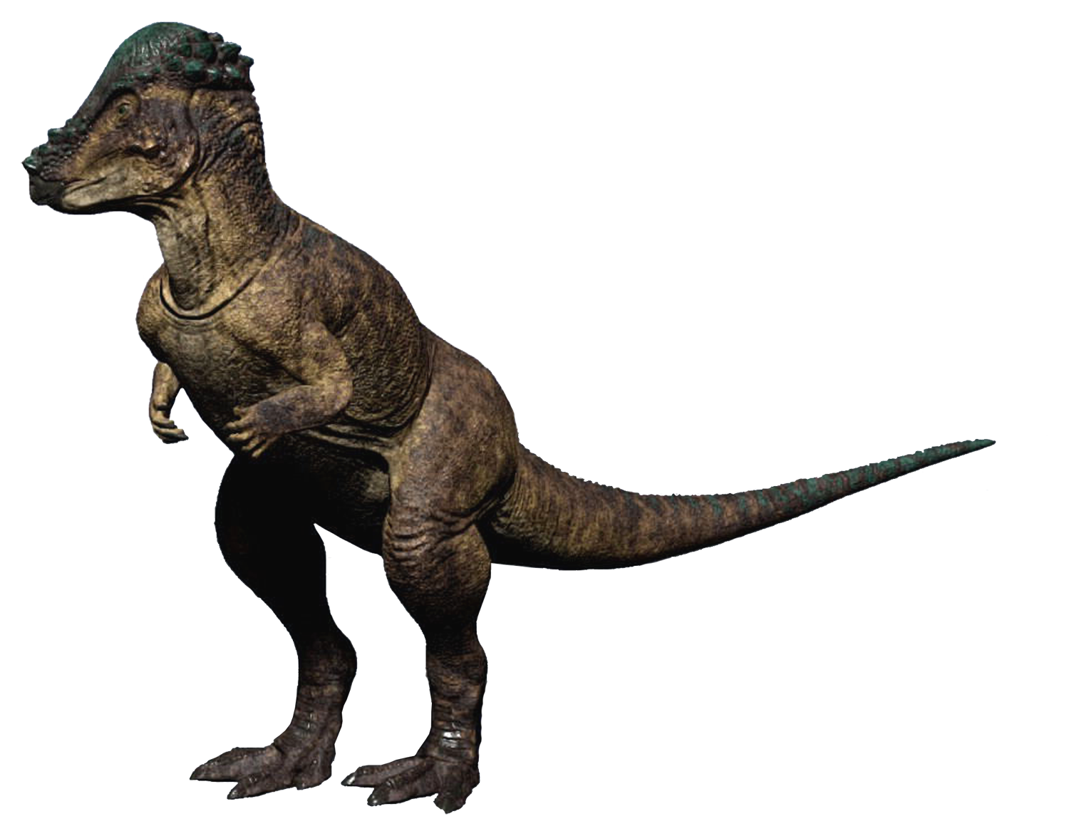 Pachycephalosaurus | The Isle Wiki | FANDOM powered by Wikia