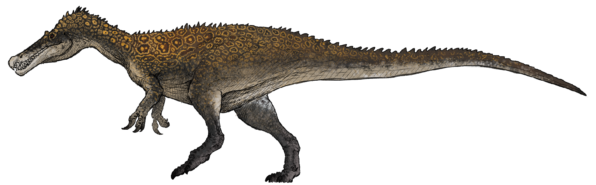 Baryonyx The Isle Wiki Fandom Powered By Wikia