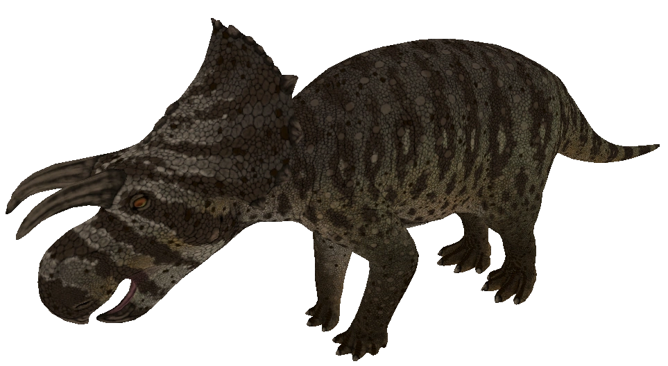 Avaceratops | The Isle Wiki | FANDOM powered by Wikia