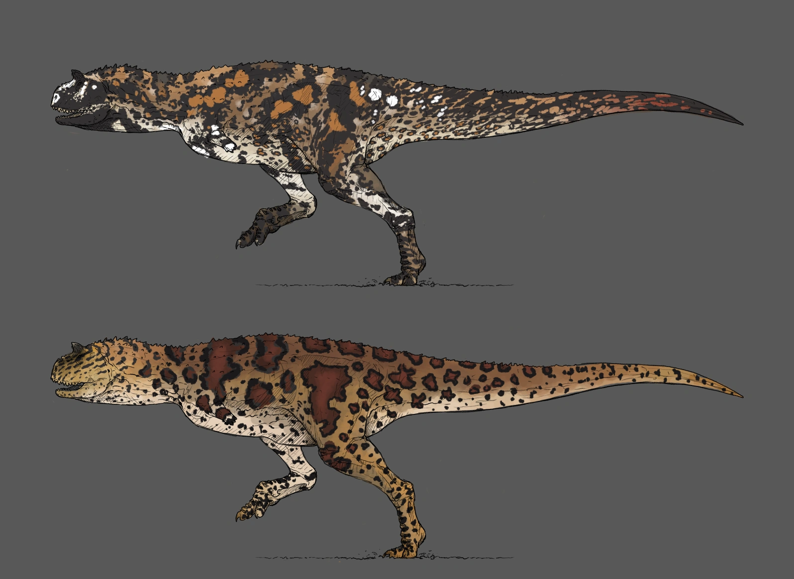 Image - Carnotaurus Concept Art The Isle.png | The Isle Wiki | FANDOM ...