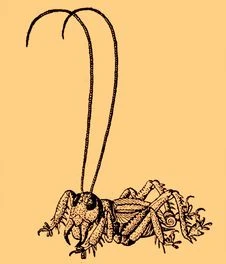 Muhnochwa | It's Something Wiki | FANDOM powered by Wikia