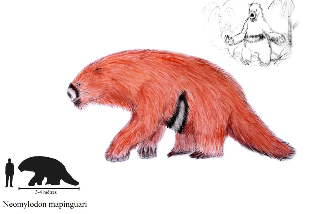 Mapinguari | It's Something Wiki | Fandom