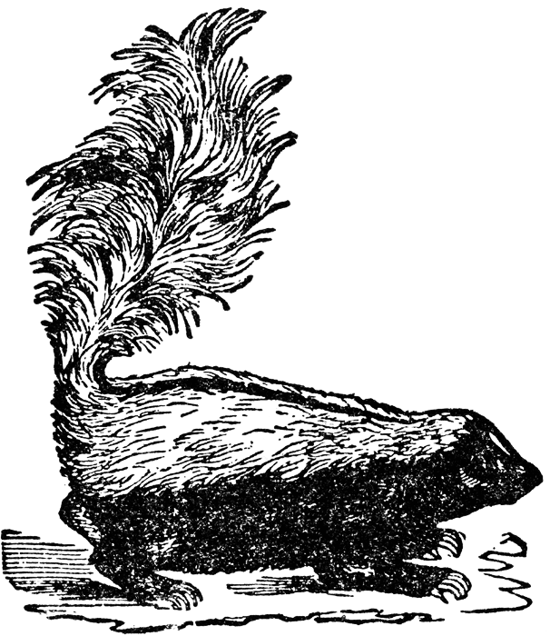 Garta | It's Something Wiki | Fandom