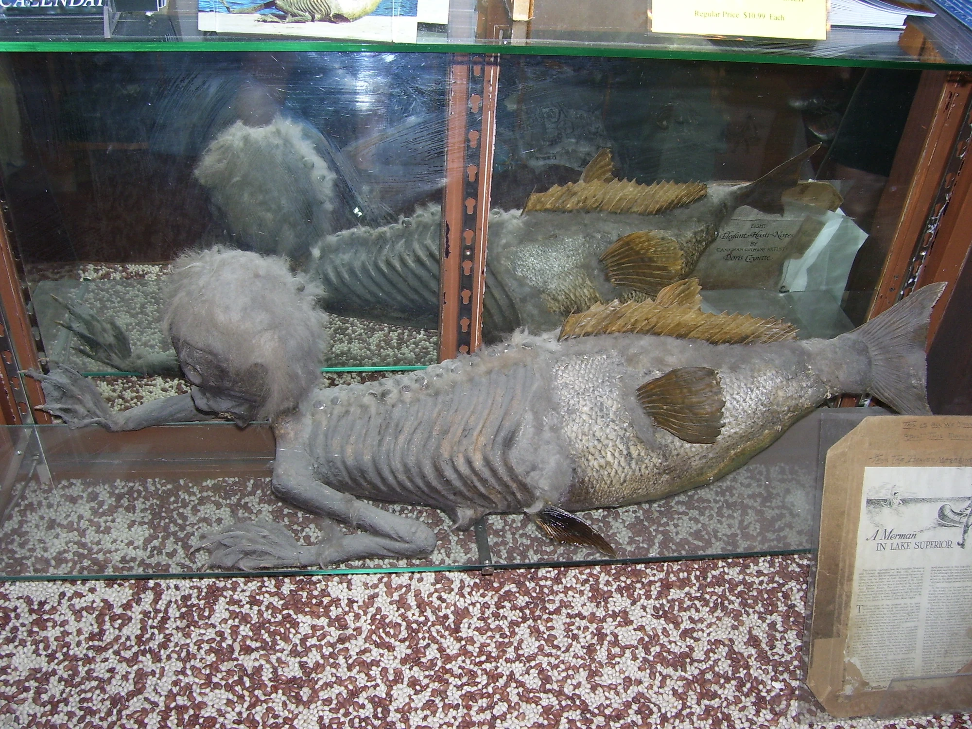 Fiji Mermaid | It's Something Wiki | Fandom