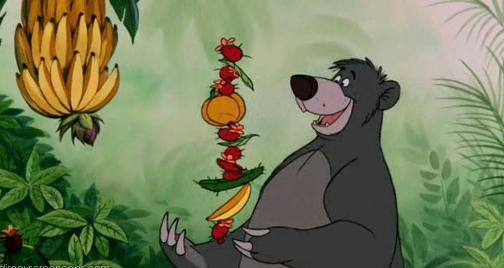 Baloo the Bear | Jaden's Adventures Wiki | FANDOM powered by Wikia