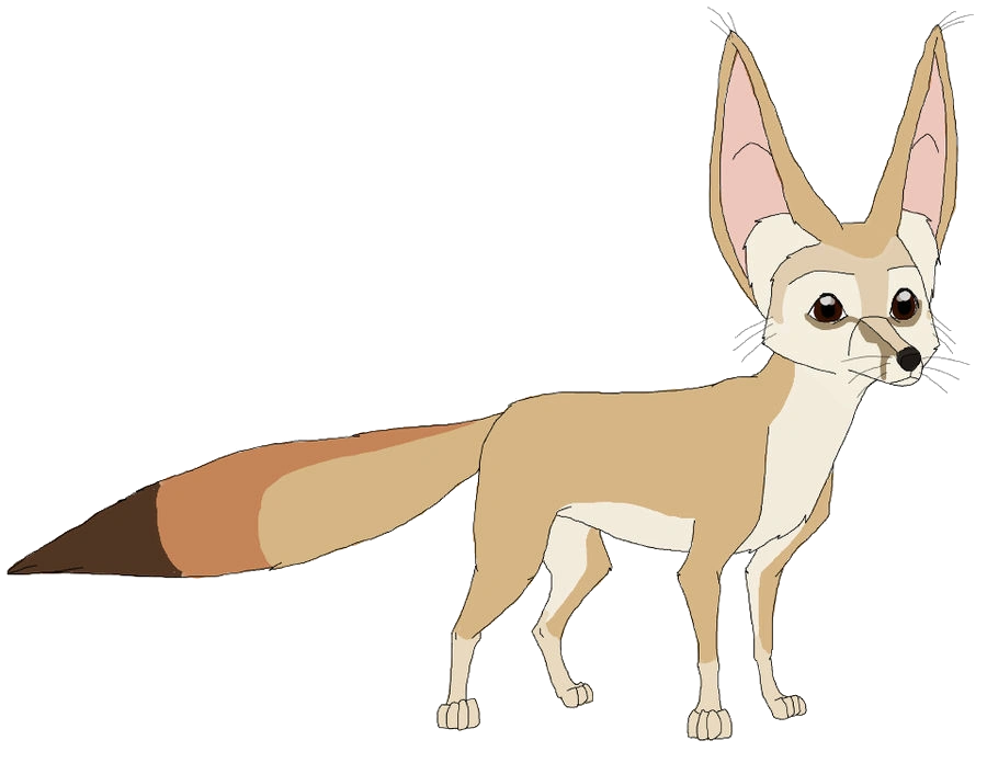 Fennec Fox | Jaden's Adventures Wiki | Fandom