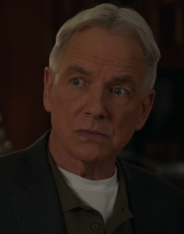 Leroy Jethro Gibbs | JAG Spawned Wiki | Fandom Leroy Jethro Gibbs | JAG Spawned Wiki | Fandom