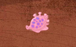 Izzy's Shell | Jake and the Never Land Pirates Wiki | Fandom