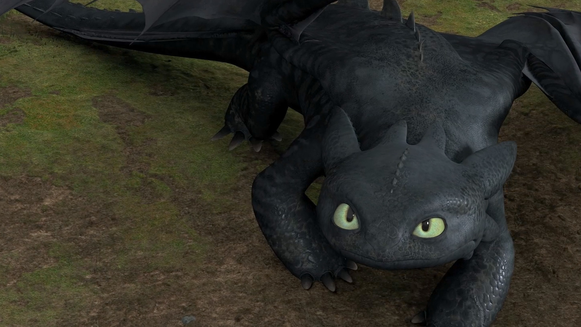 Obraz - Toothless-desktop-wallpaper-background-nightfury-toothless ... Obraz - Toothless-desktop-wallpaper-background-nightfury-toothless ...