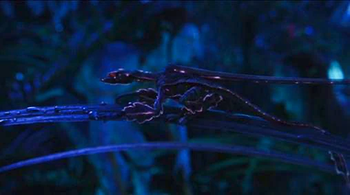 Fan Lizard | Avatar Wiki | Fandom