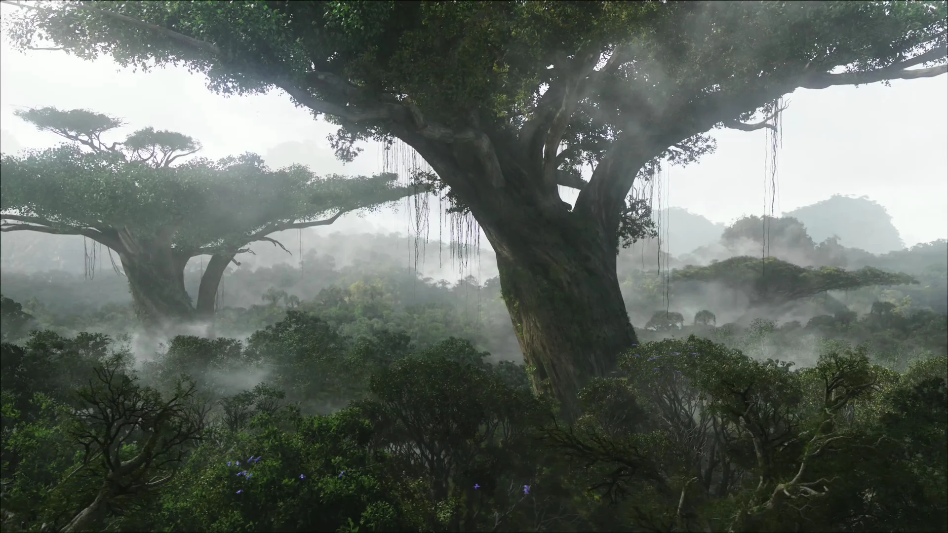 Hometree | Avatar Wiki | FANDOM powered by Wikia