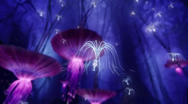 Espíritu del Bosque | Avatar Wiki | Fandom