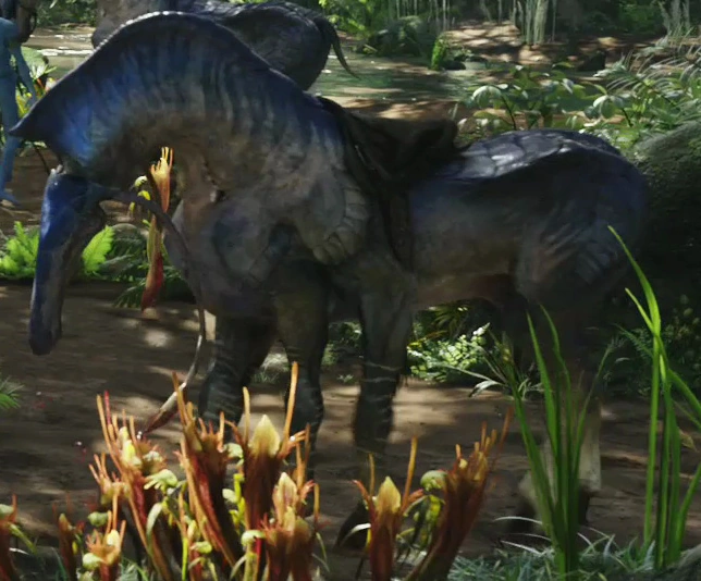 Pa'li | Wiki Avatar | FANDOM powered by Wikia