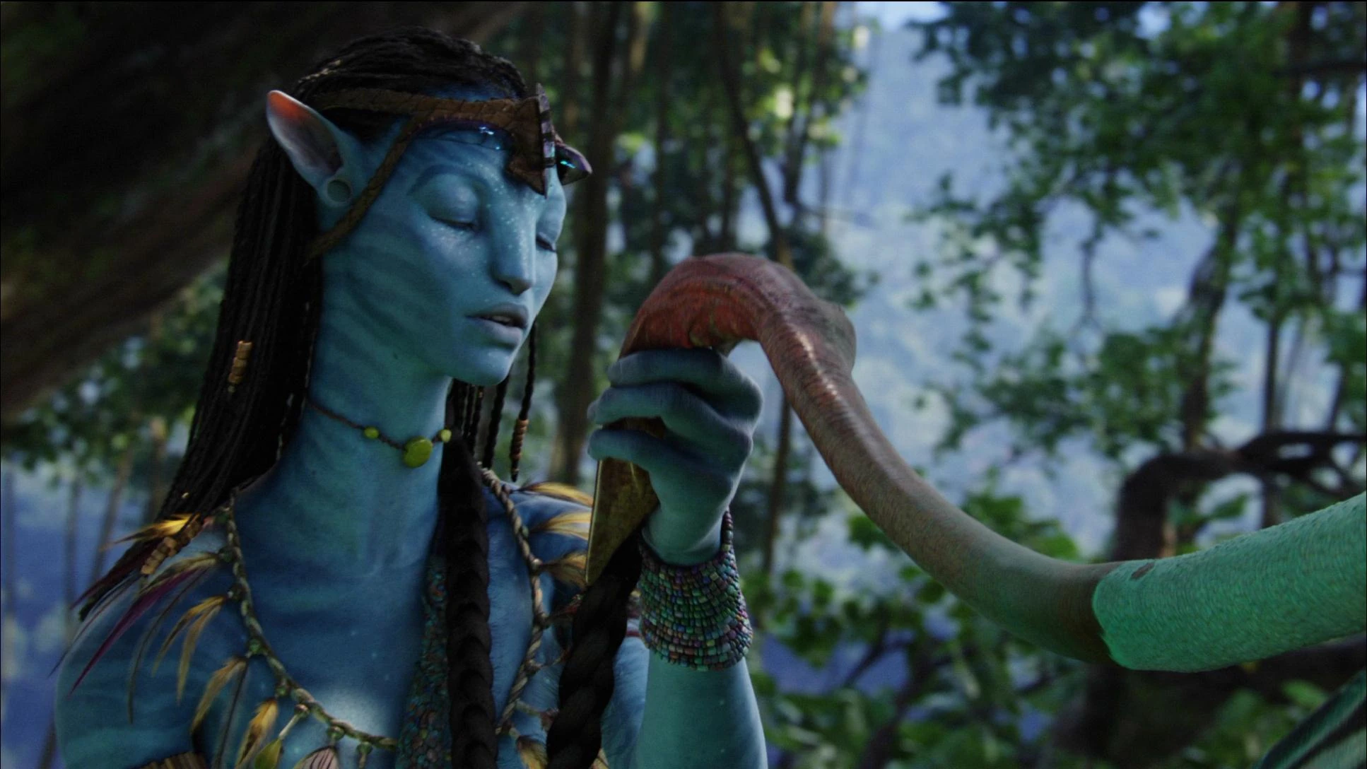 Image - Neytiri tsahalu.jpg | Avatar Wiki | FANDOM powered by Wikia