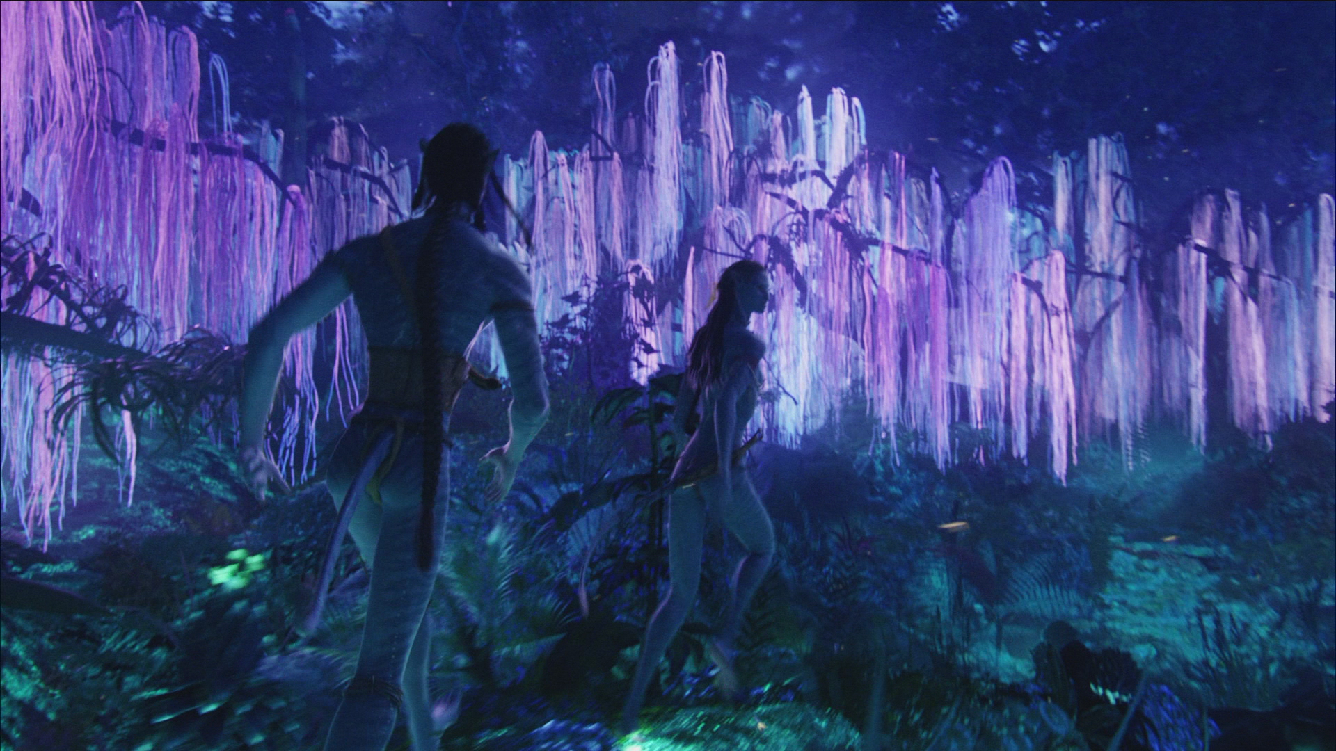 Baum der Stimmen | Avatar Wiki | Fandom Baum der Stimmen | Avatar Wiki | Fandom
