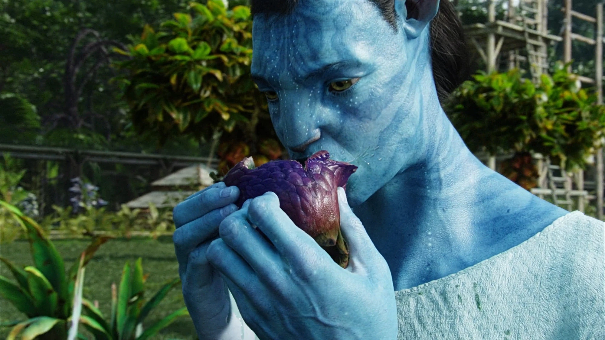 Image - Jake eats fruit.jpg | Avatar Wiki | FANDOM powered by Wikia