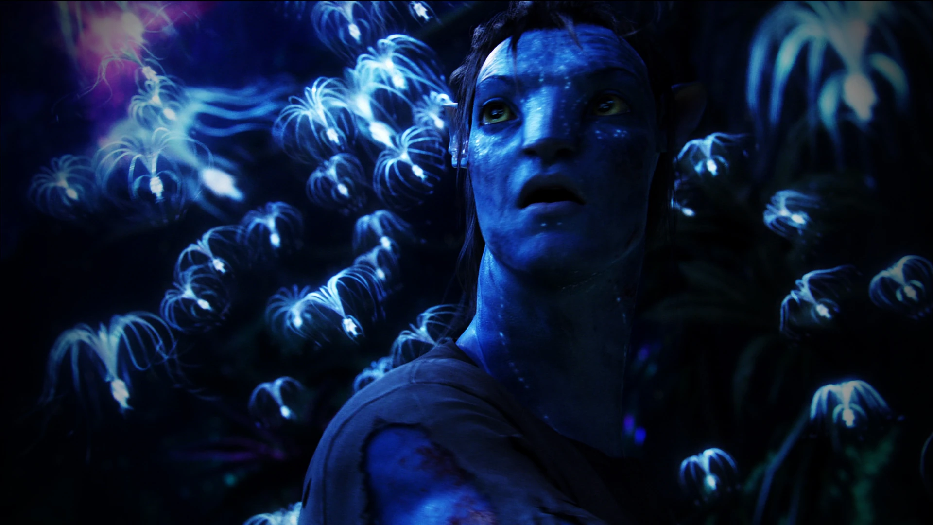 Image - Woodsprites HD.jpg | Avatar Wiki | FANDOM powered by Wikia