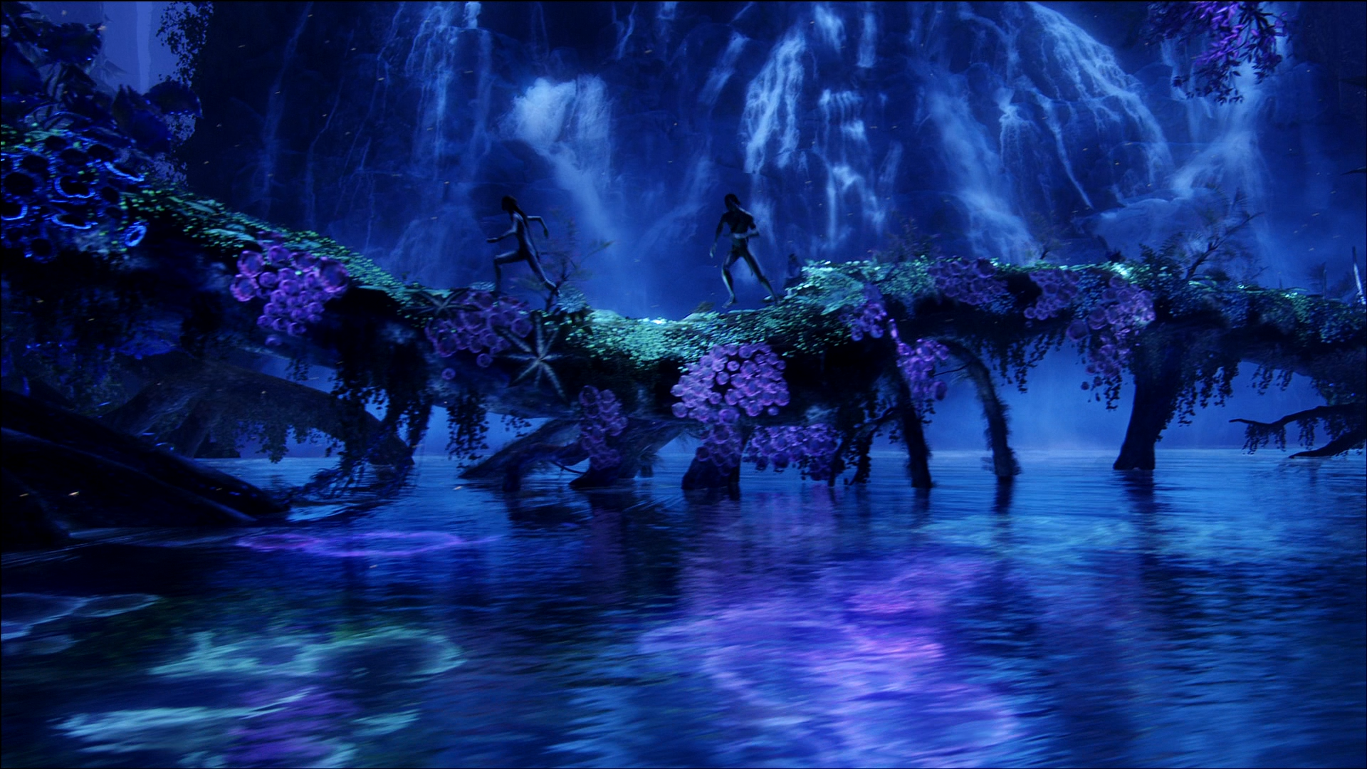 Bioluminescence | Avatar Wiki | Fandom Bioluminescence | Avatar Wiki | Fandom