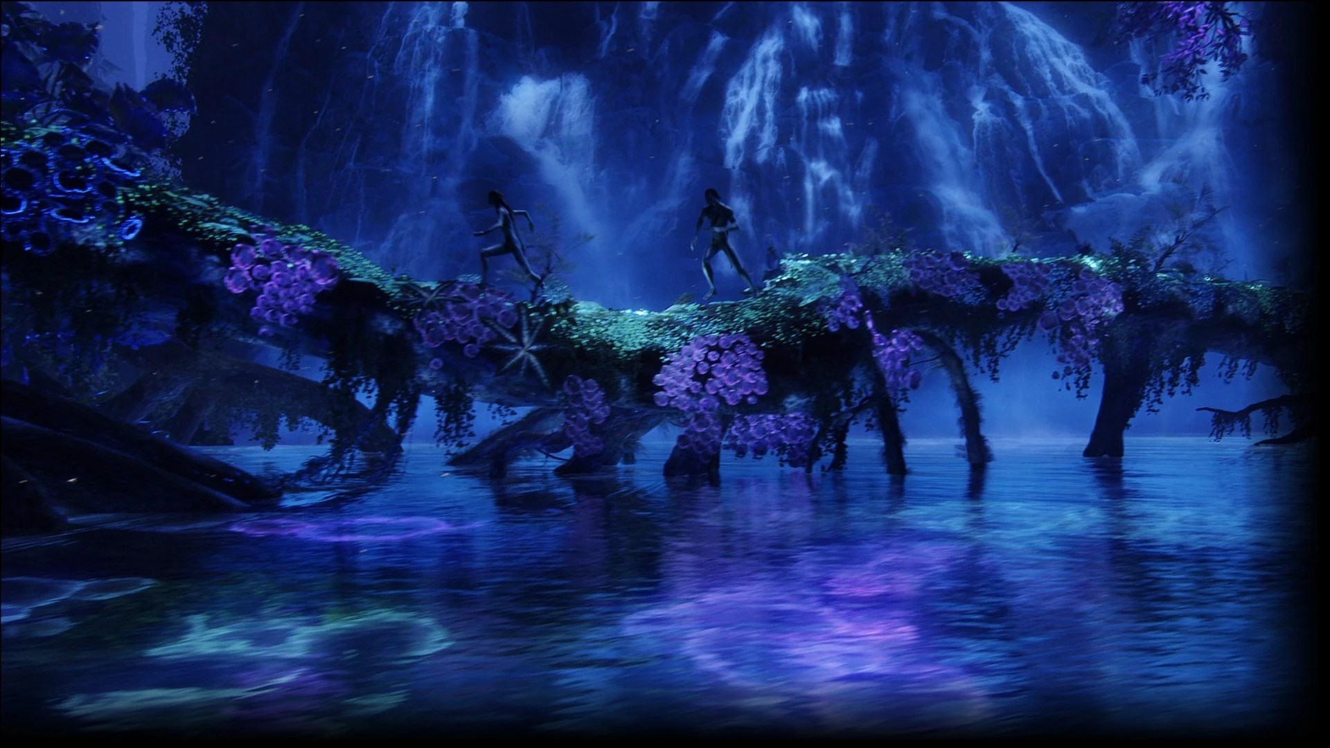 Image - AvatarBackground.jpg | Avatar Wiki | FANDOM powered by Wikia