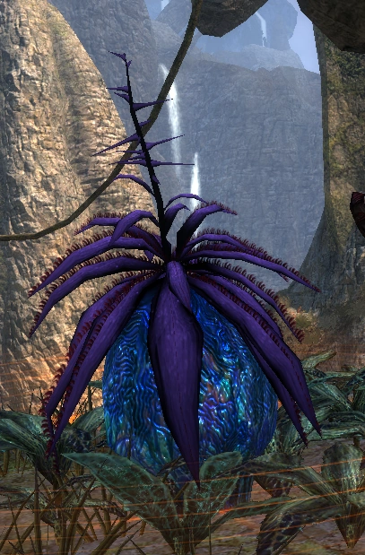 Fire Weed | Avatar Wiki | FANDOM powered by Wikia