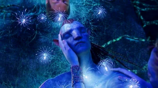 Image - 19574 101786319855604 100000727083593 50749 4502327 n.jpg ...