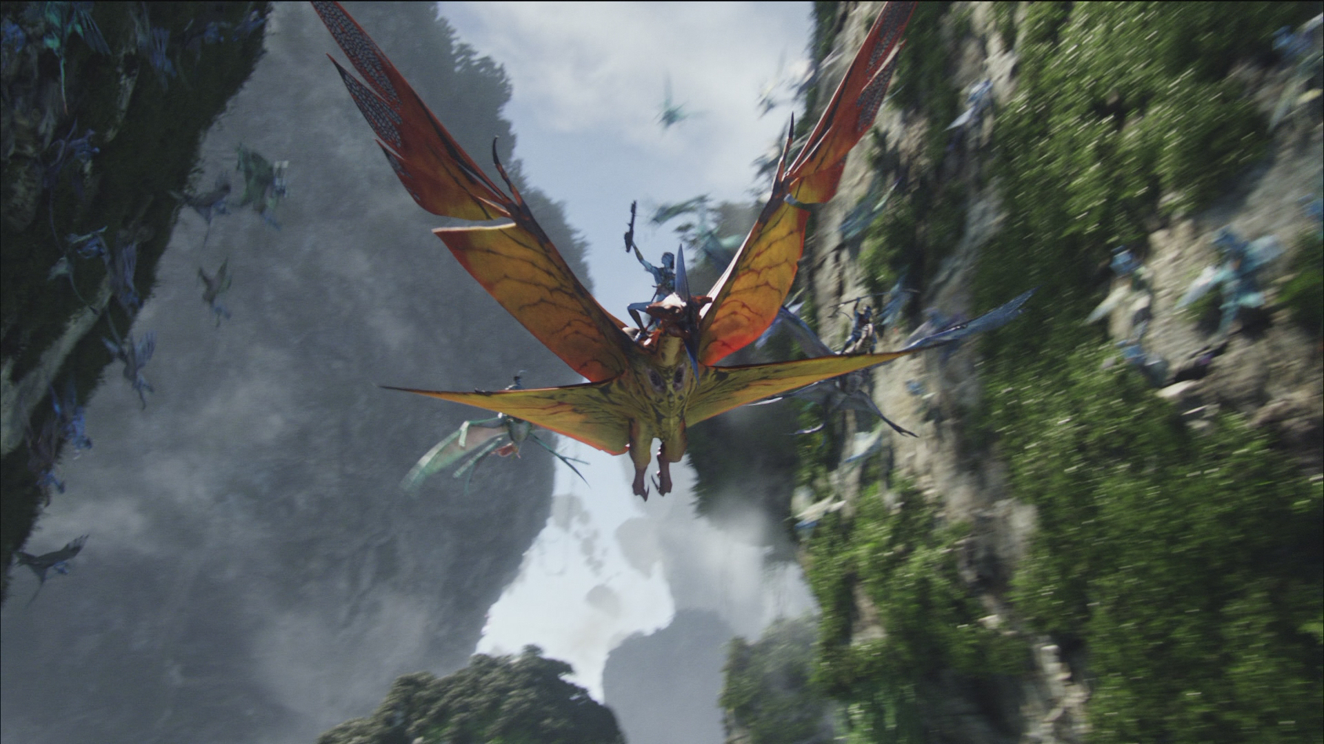 Image Jaketorukscreencap Avatar Wiki Fandom Powered By Wikia