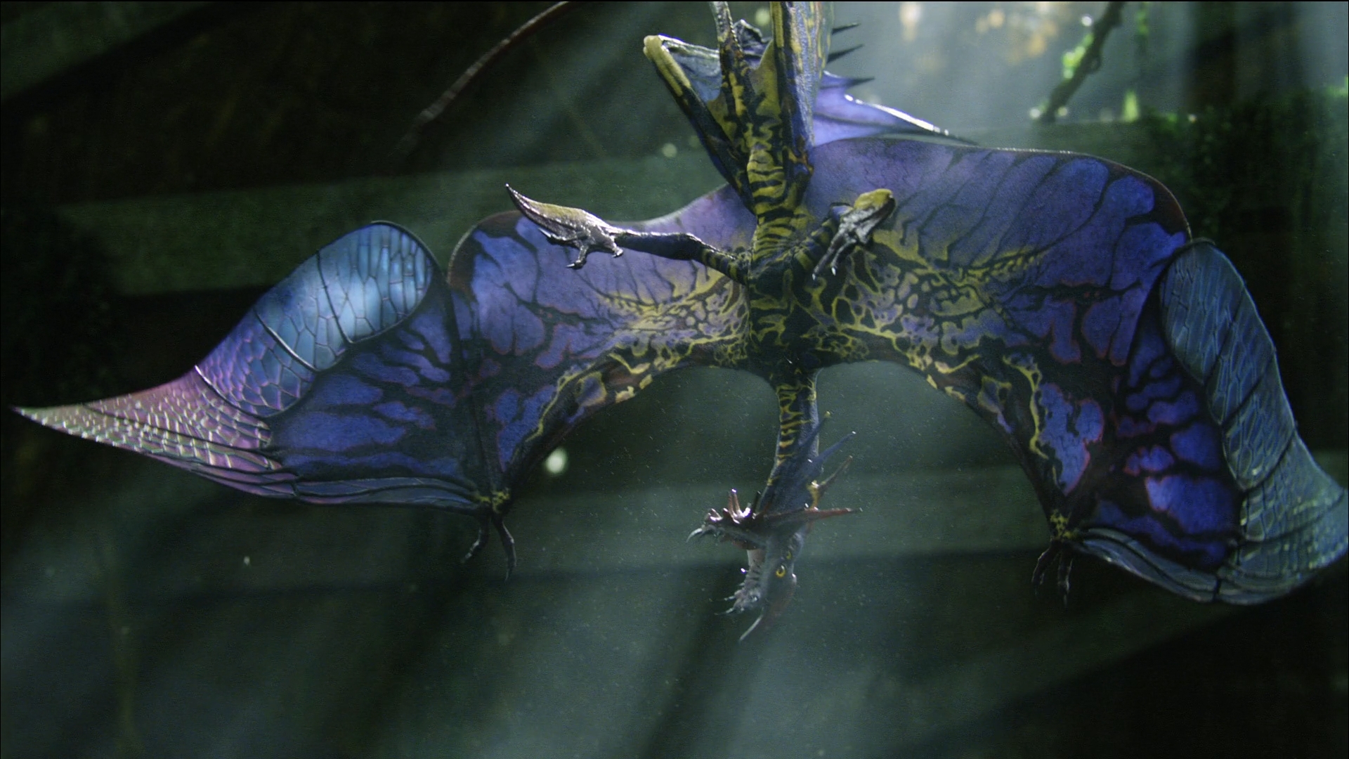 Stachelfledermaus | Avatar Wiki | FANDOM powered by Wikia Stachelfledermaus | Avatar Wiki | FANDOM powered by Wikia