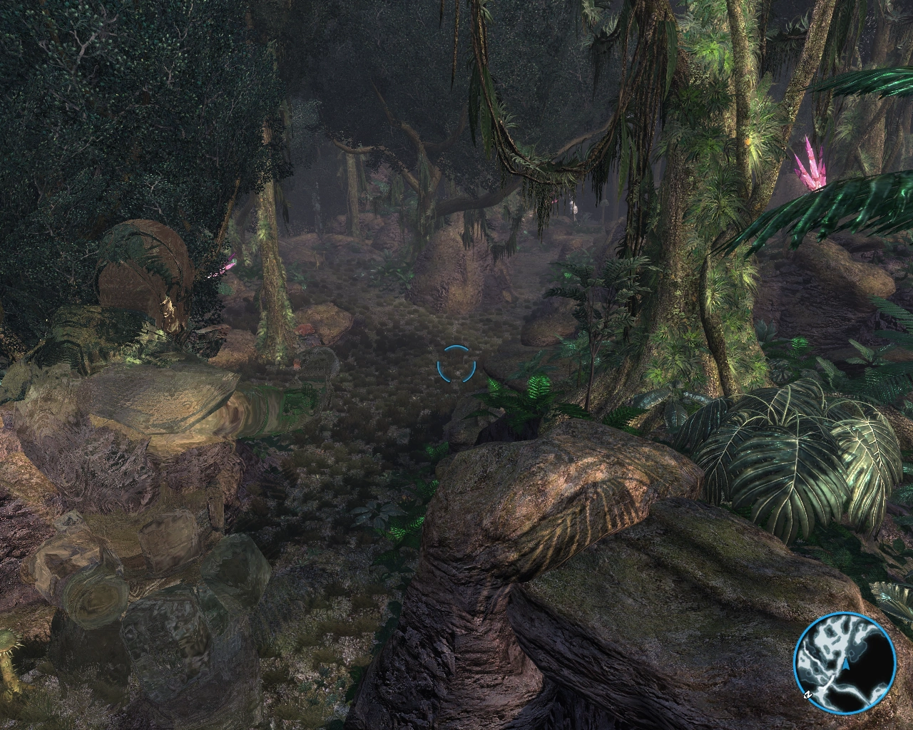 Chaugrin's Maze | Avatar Wiki | Fandom