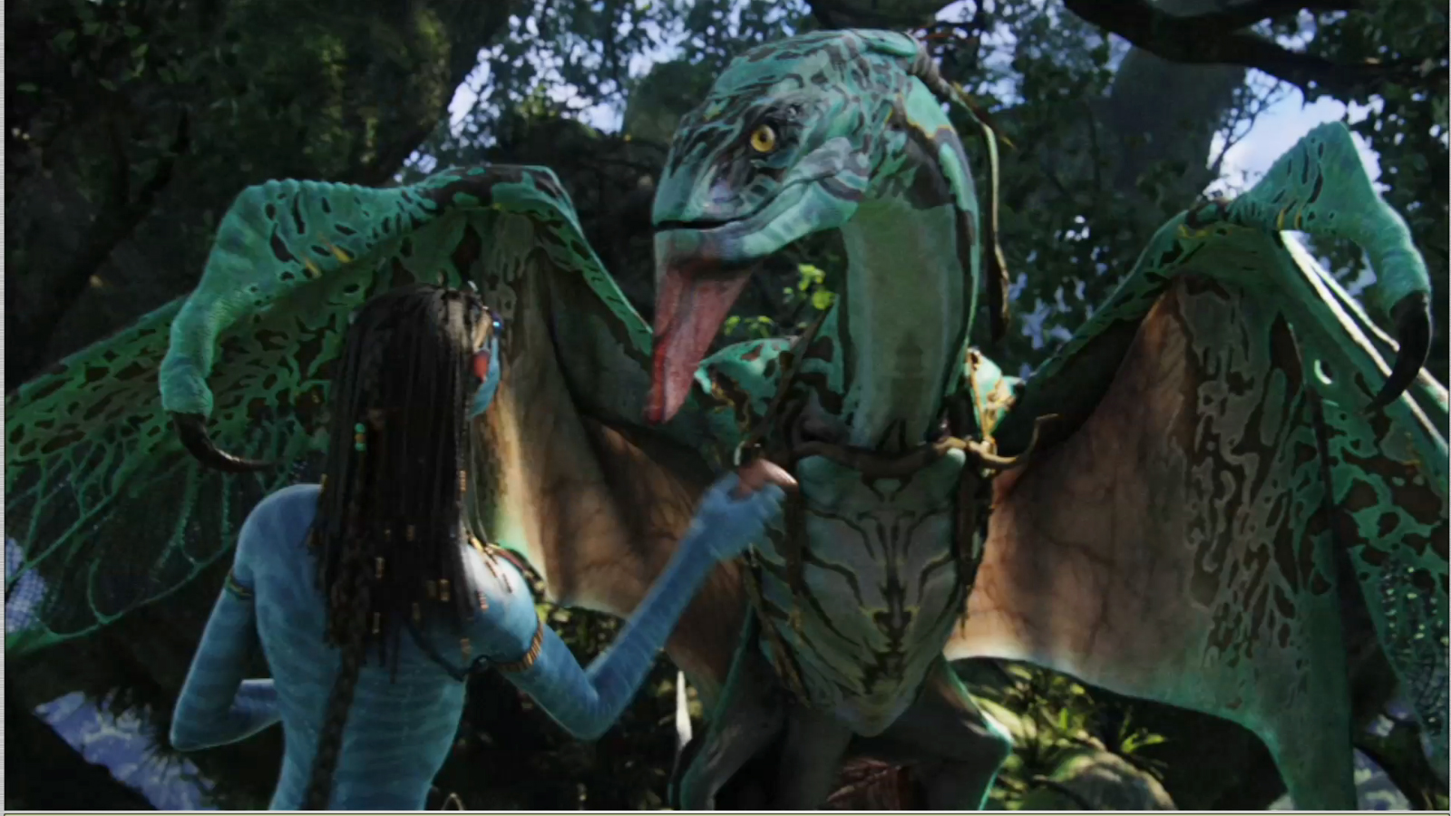 Seze | Avatar Wiki | Fandom Seze | Avatar Wiki | Fandom
