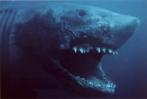 Brucette | Jaws Wiki | Fandom