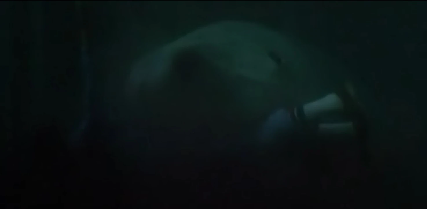 Category:Jaws III | Jaws Wiki | Fandom