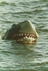 Brucette | Jaws Wiki | Fandom