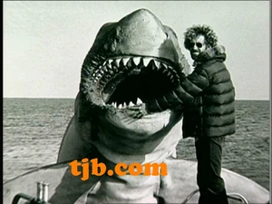 Brucette | Jaws Wiki | Fandom