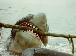 Brucette | Jaws Wiki | Fandom