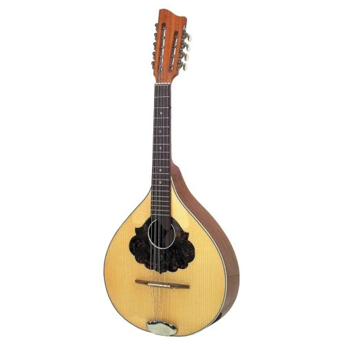 La Cithare d'Ohlongsen | Wiki JDR - Ordre du Fenwick | Fandom