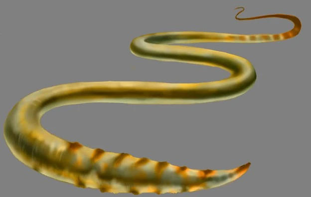 Geonosianischer Hirnwurm | Jedipedia | Fandom