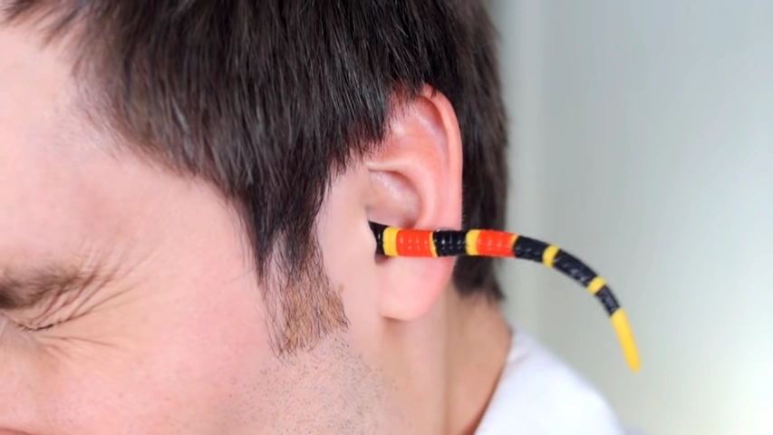 SNAKE IN EAR! | JesseAndMike Wiki | Fandom