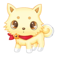 Kohaku/Image Gallery | Jewel Pet Wiki | Fandom