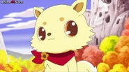 Kohaku/Image Gallery | Jewel Pet Wiki | FANDOM powered by Wikia
