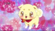 Kohaku/Image Gallery | Jewel Pet Wiki | FANDOM powered by Wikia