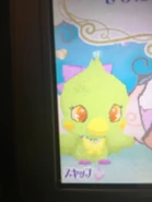 Rin/Image Gallery | Jewel Pet Wiki | Fandom