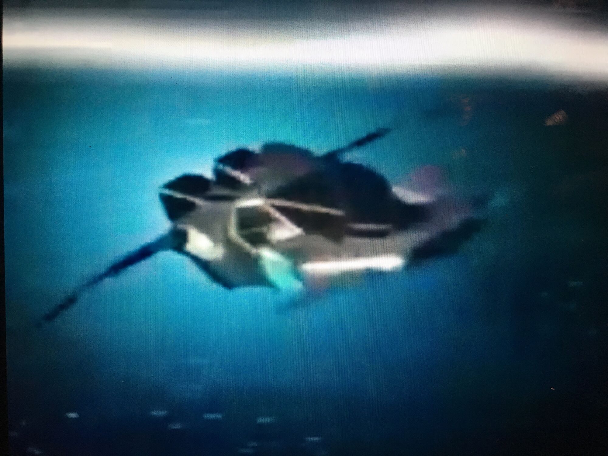 Astrocar | Jimmy Neutron Wiki | Fandom