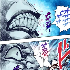 High Priestess | JoJo's Bizarre Wiki | Fandom