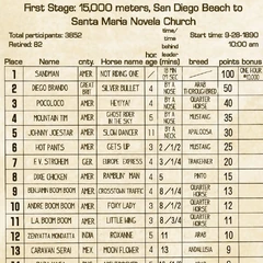 Steel Ball Run (race) | JoJo's Bizarre Encyclopedia | FANDOM powered by ...