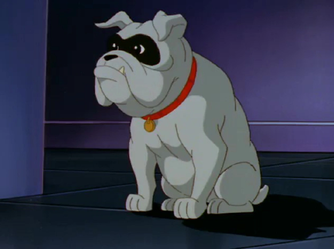 Bandit (The Real Adventures) | Jonny Quest Wiki | Fandom