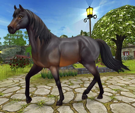 Jorvik Warmblood | Jorvikipedia | Fandom