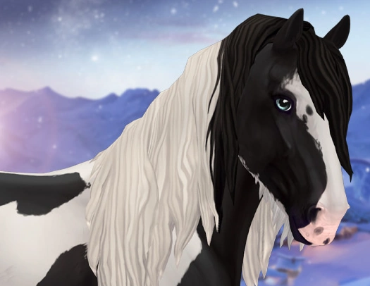 Cob irlandzki | Jorvikipedia | Fandom